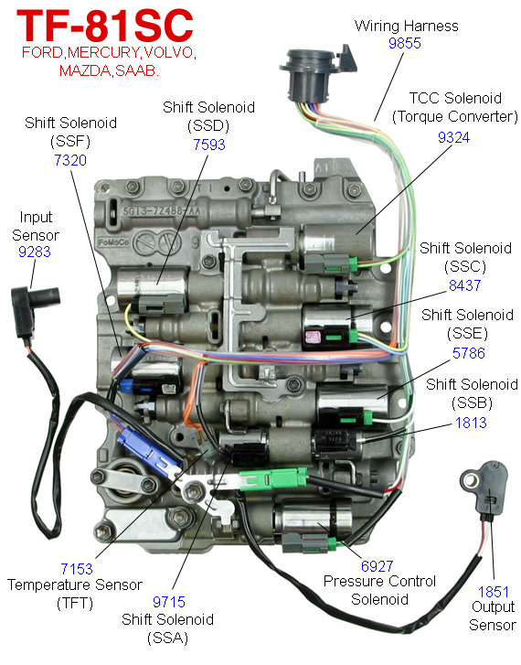 TF-80SC, /81SC (AM6, AF21, AF40-6)